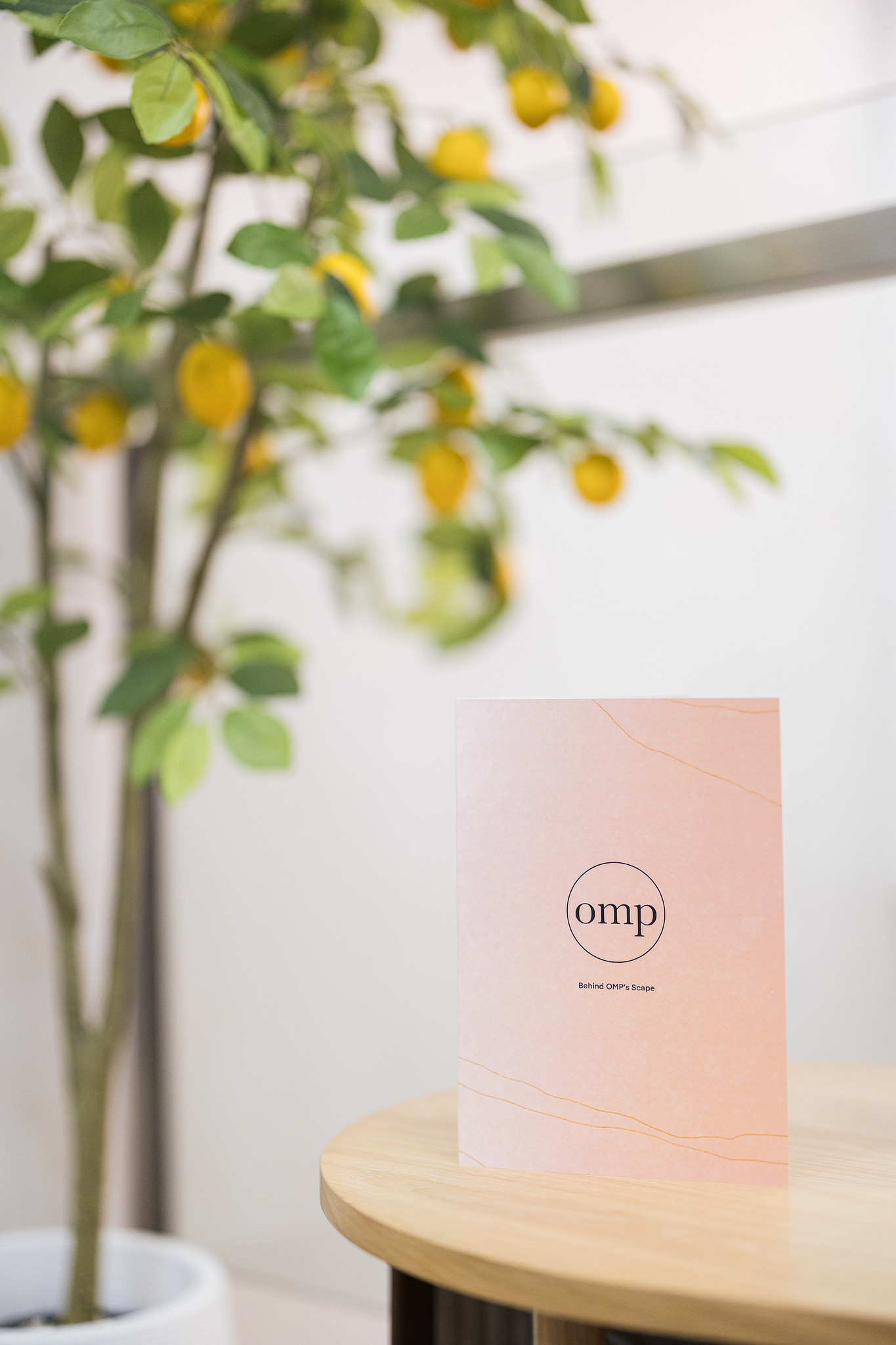 About - OMP